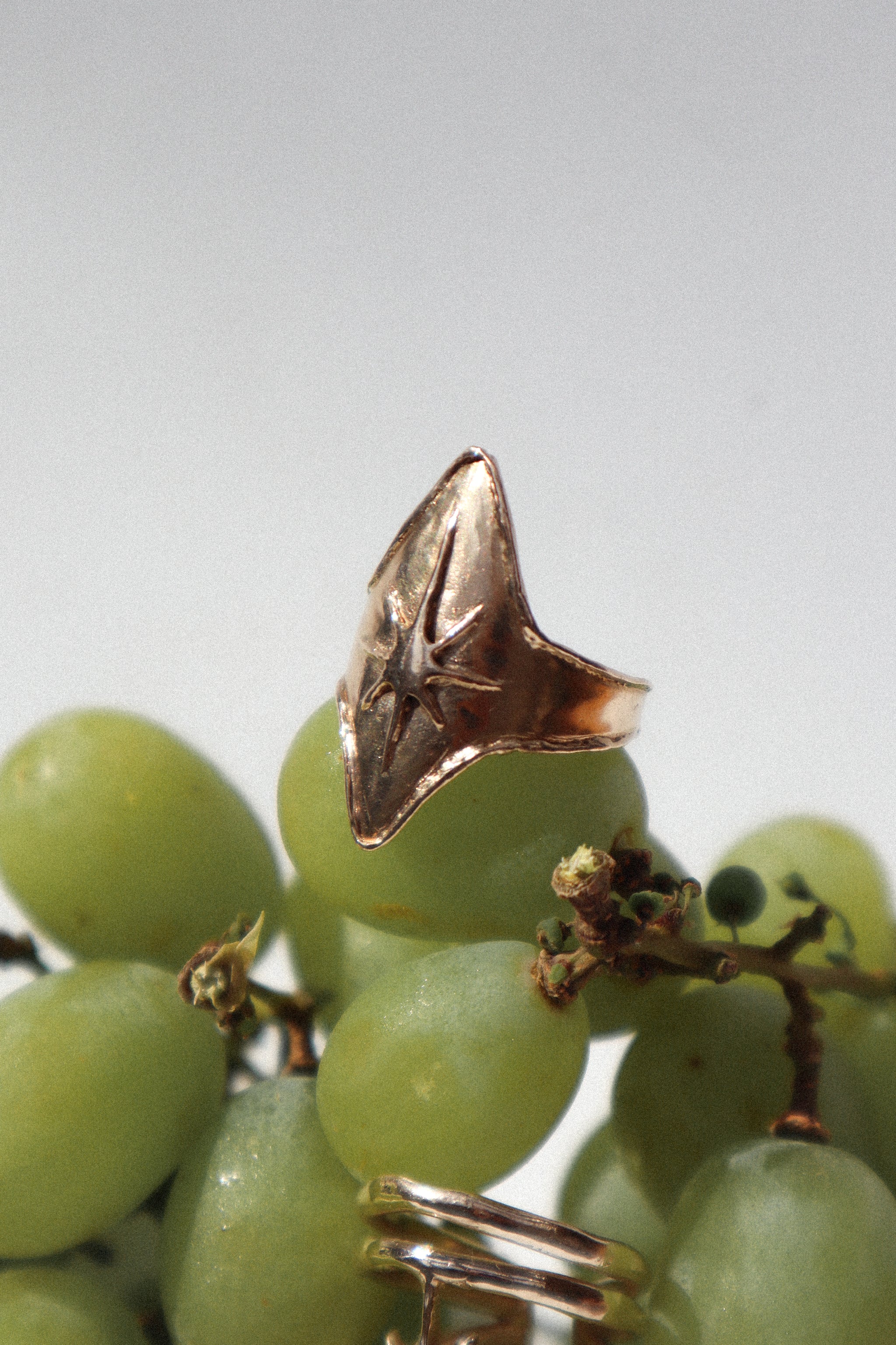 Draco Ring – Indomita Heirlooms
